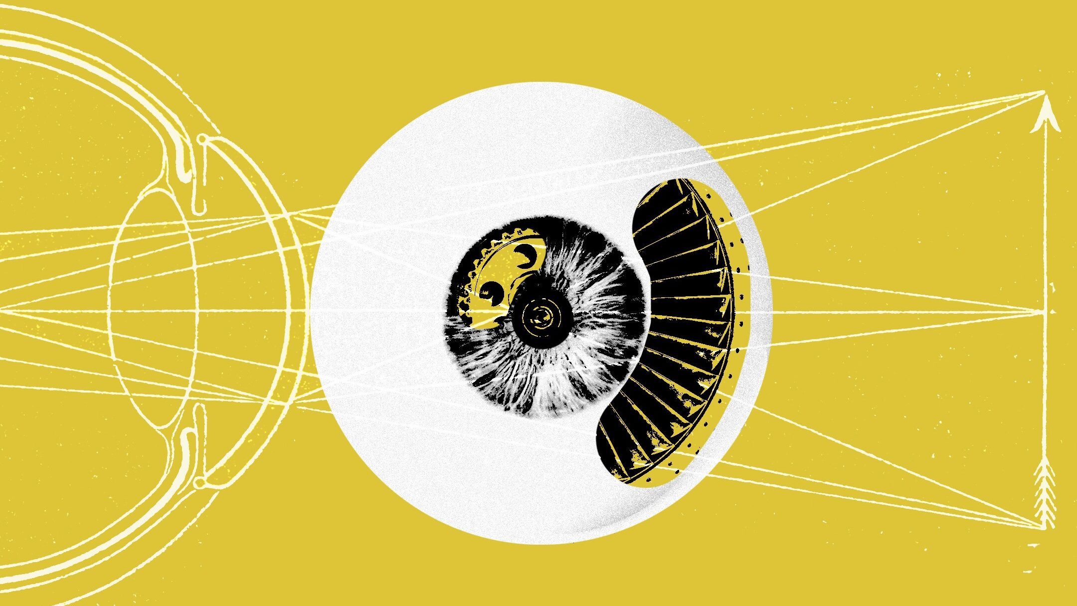 Discover the incredible vision of the world's sharpest eyes!