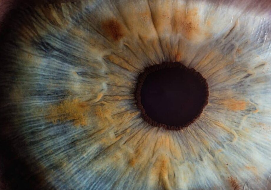 Eye-Opening Truth: How Often Should You Change Your Glasses?