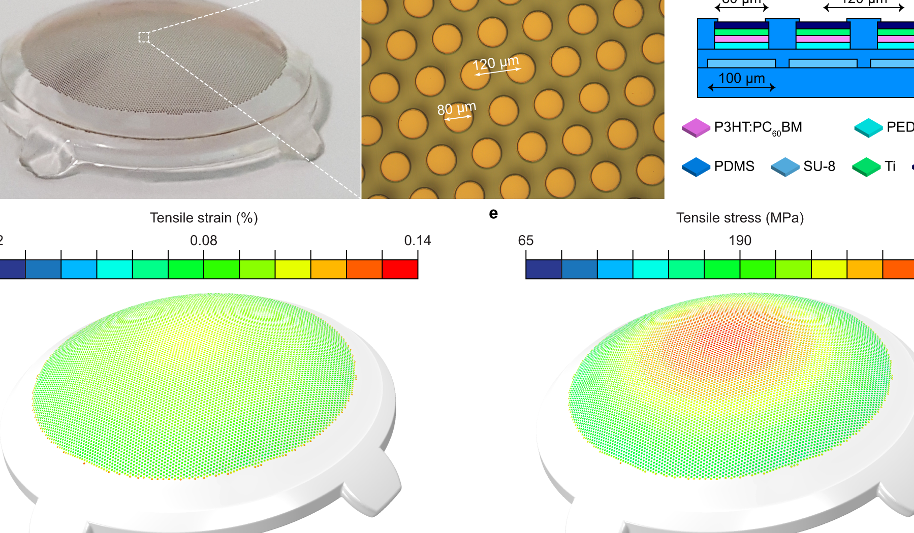 Understanding Legal Blindness: Eye Strength Requirements